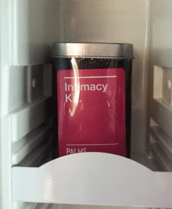 The Palms Hotel Room - Intimacy Kit - Kaila Yu